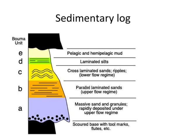 Sedimentary rocks and structures | PPT