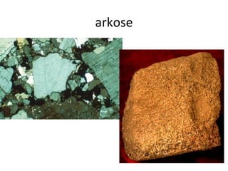 Sedimentary rocks and structures | PPT