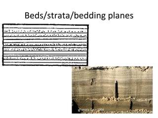Sedimentary rocks and structures | PPT