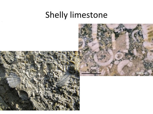 Sedimentary rocks and structures | PPT