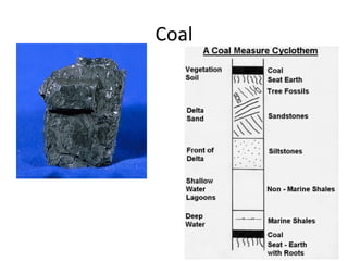 Sedimentary rocks and structures | PPT