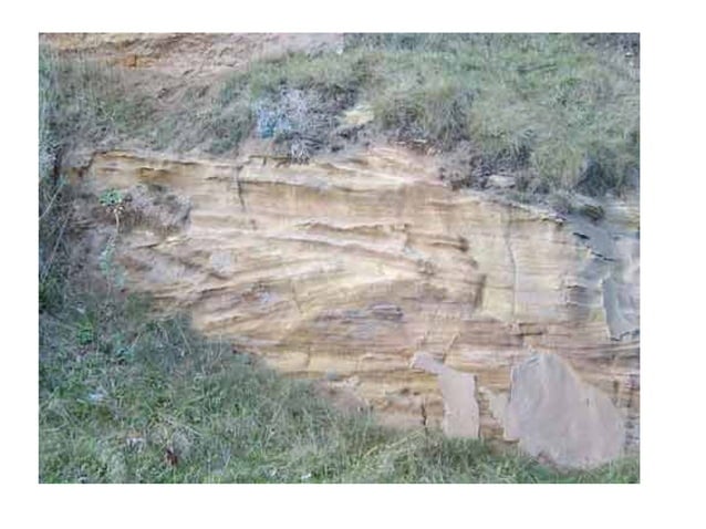 Sedimentary rocks and structures | PPT