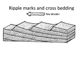 Sedimentary rocks and structures | PPT