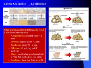 Sedimentary rocks class | PPT