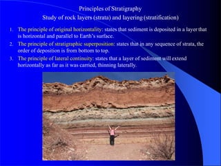 Sedimentary rocks class | PPT