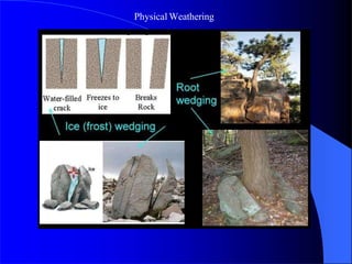 Sedimentary rocks class | PPT