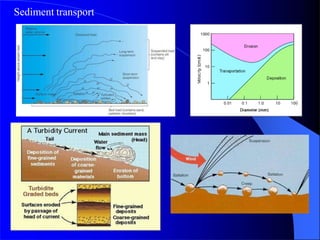 Sedimentary rocks class converted | PPT
