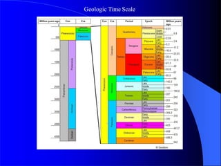 Sedimentary rocks class converted | PPTX