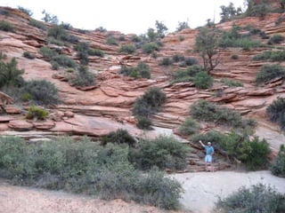 Sedimentary Rock Slides | PPT
