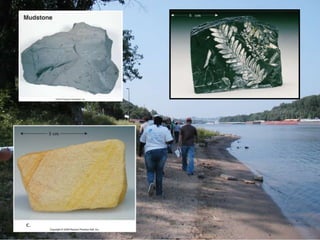 Sedimentary Rock Slides | PPT