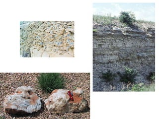 Sedimentary Rock Slides | PPT | Free Download