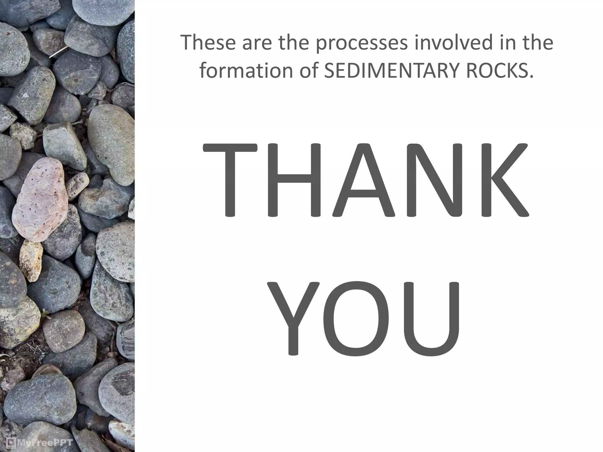 Sedimentary Rocks PPT.pptx