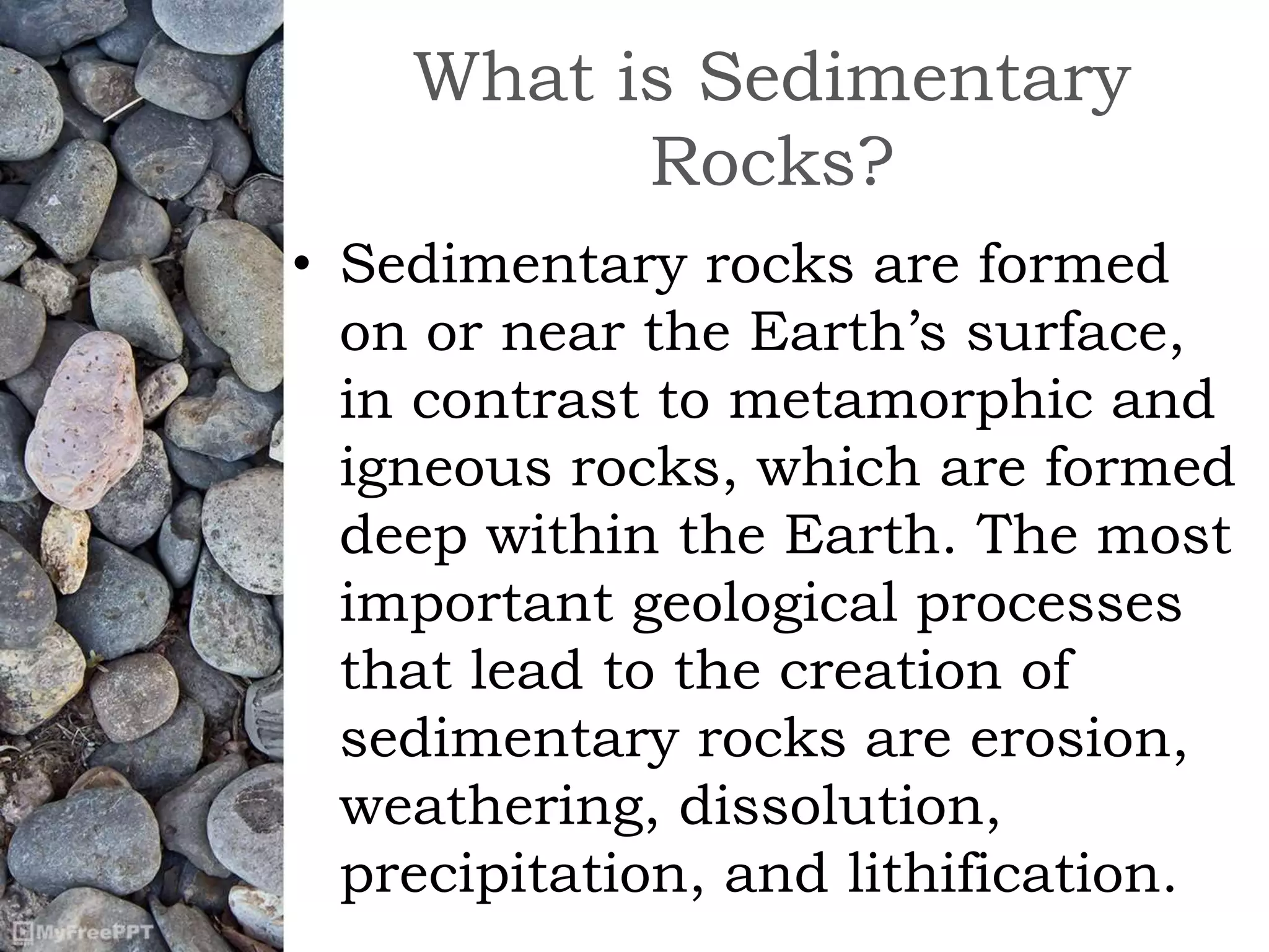 Sedimentary Rocks PPT.pptx