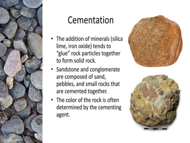 Sedimentary Rocks PPT.pptx