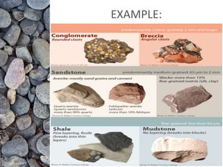 Sedimentary Rocks PPT.pptx