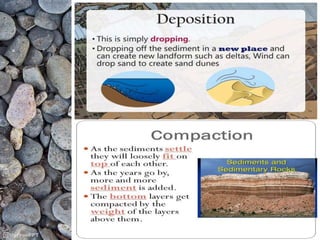 Sedimentary Rocks PPT.pptx