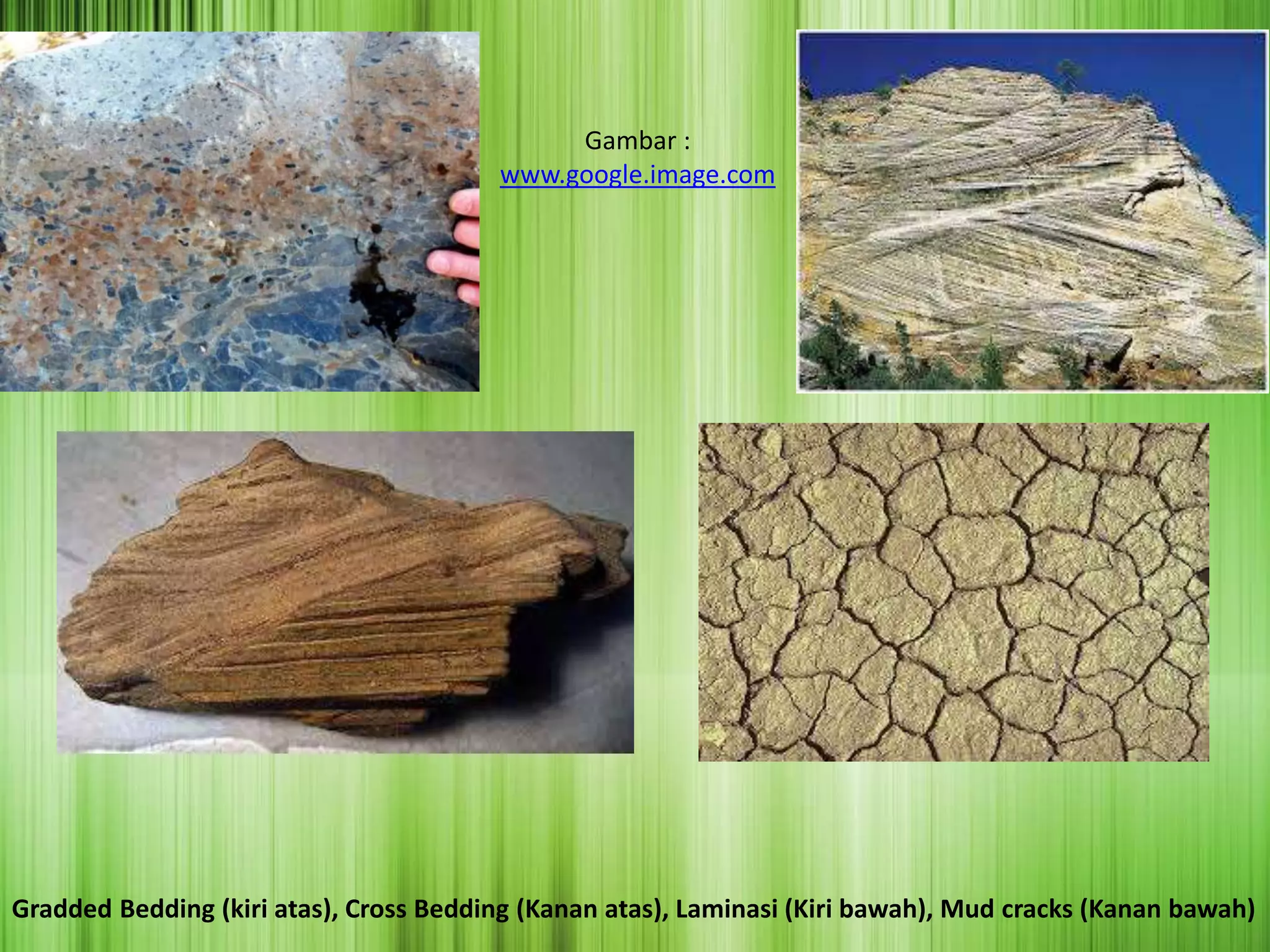 Sedimentary rocks, presentasi geologi | PPTX