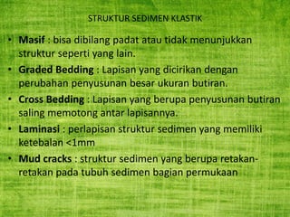 Sedimentary rocks, presentasi geologi | PPTX