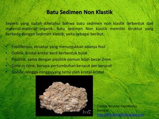 Sedimentary rocks, presentasi geologi | PPTX