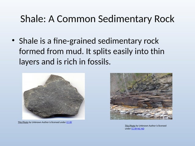Sedimentary_Rocks_Presentation (2) [Autosaved].pptx