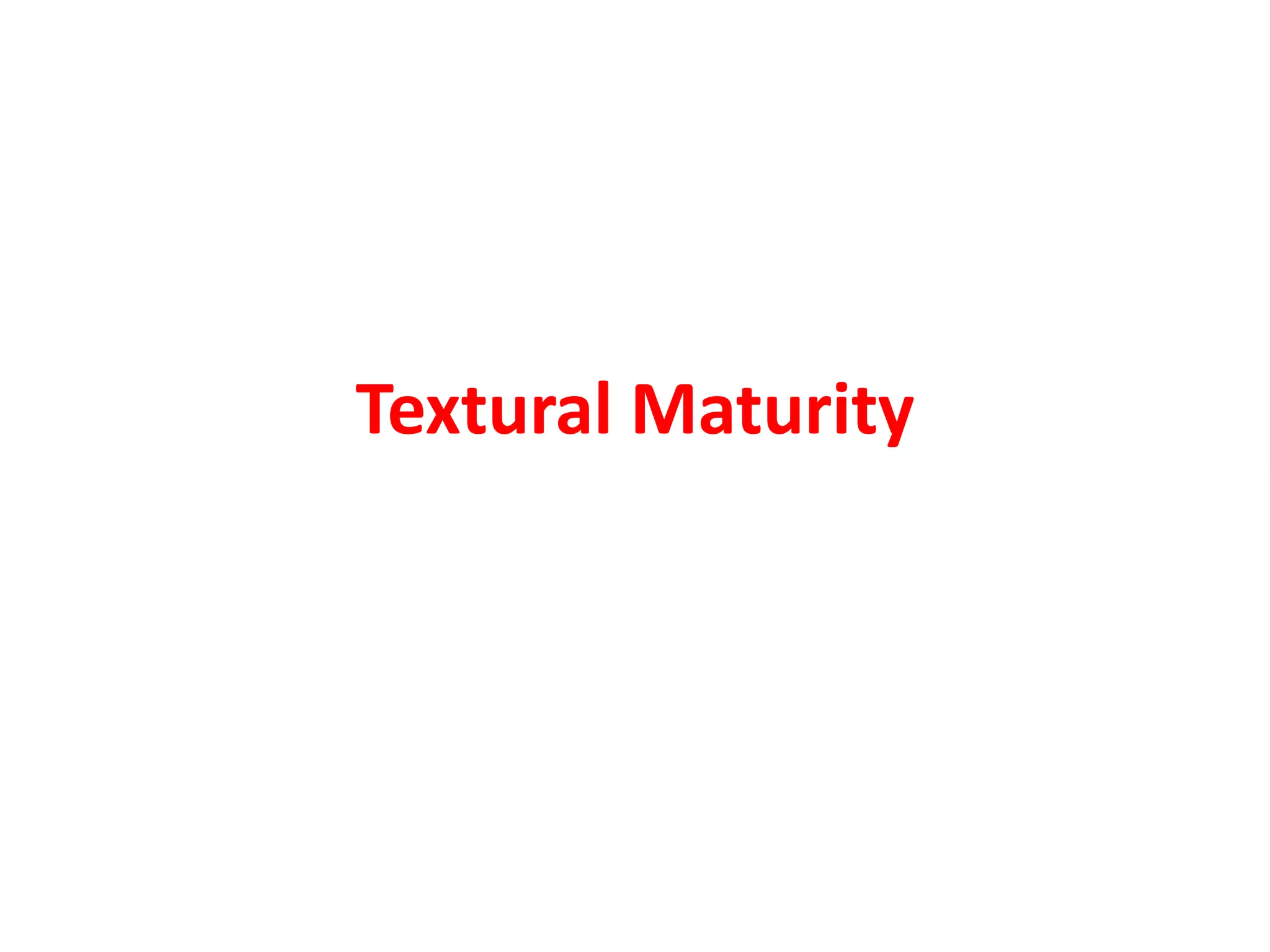 Sedimentary Rock Textures.pptx