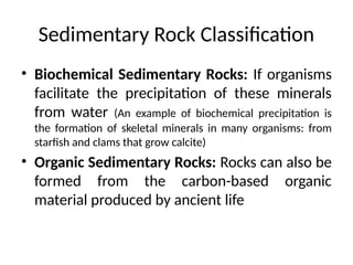 Sedimentary Rock thin Section Study.pptx