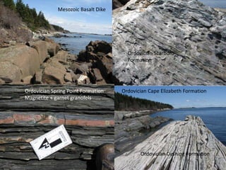 Sedimentary shales and slitstones with fossils.ppt