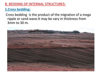 Sedimentary structure | PPTX