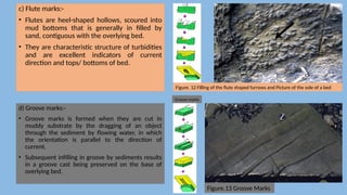 Sedimentary structure and Paleocurrent Analysis | PPTX