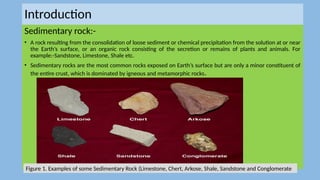 Sedimentary structure and Paleocurrent Analysis | PPTX