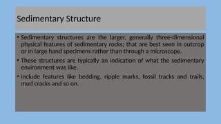 Sedimentary structure and Paleocurrent Analysis | PPTX