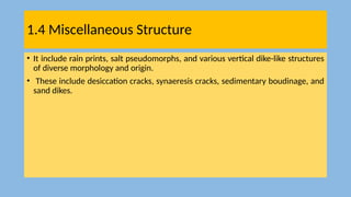 Sedimentary structure and Paleocurrent Analysis | PPTX