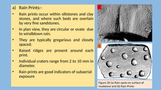 Sedimentary structure and Paleocurrent Analysis | PPTX