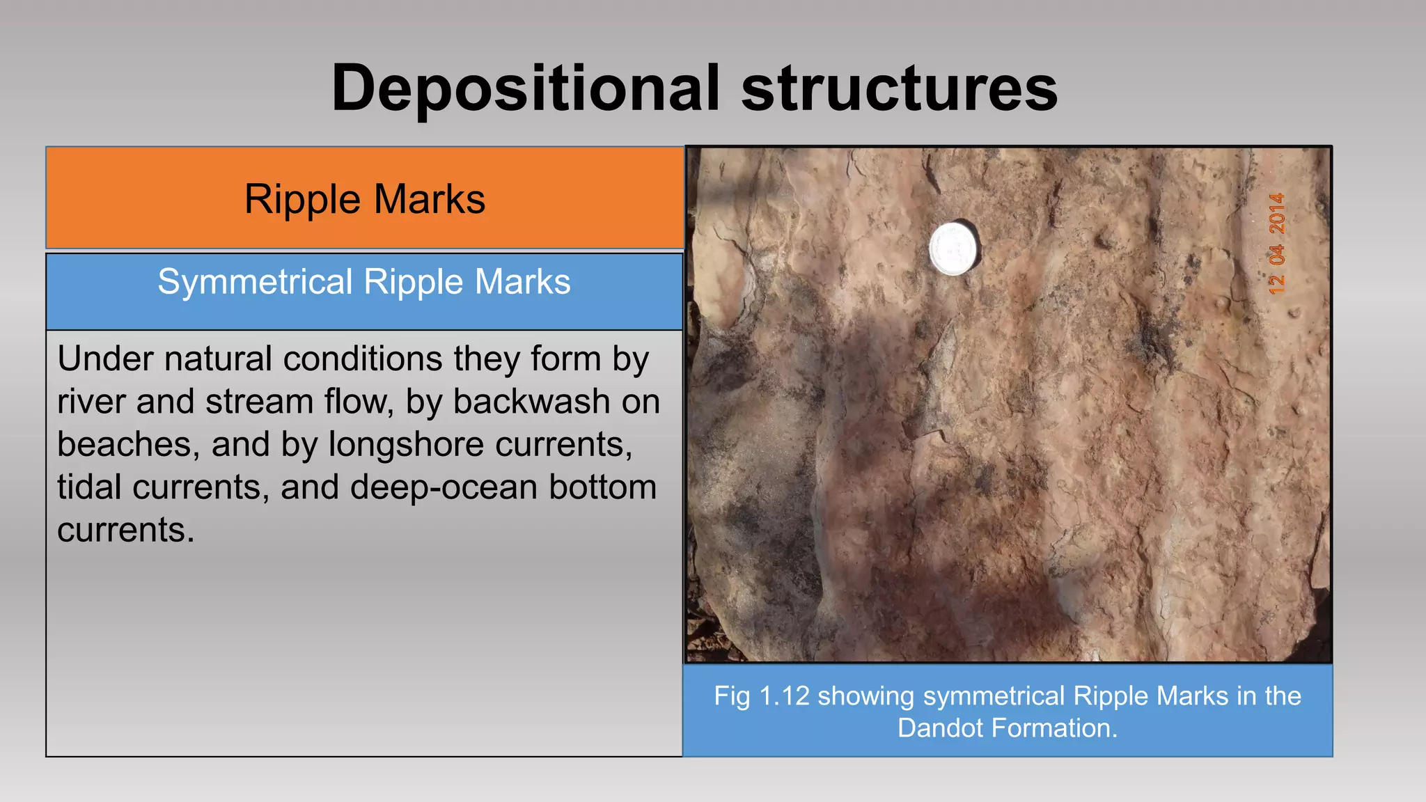 Sedimentary structures Present in Permian and Eocene Rocks of Pakistan ...
