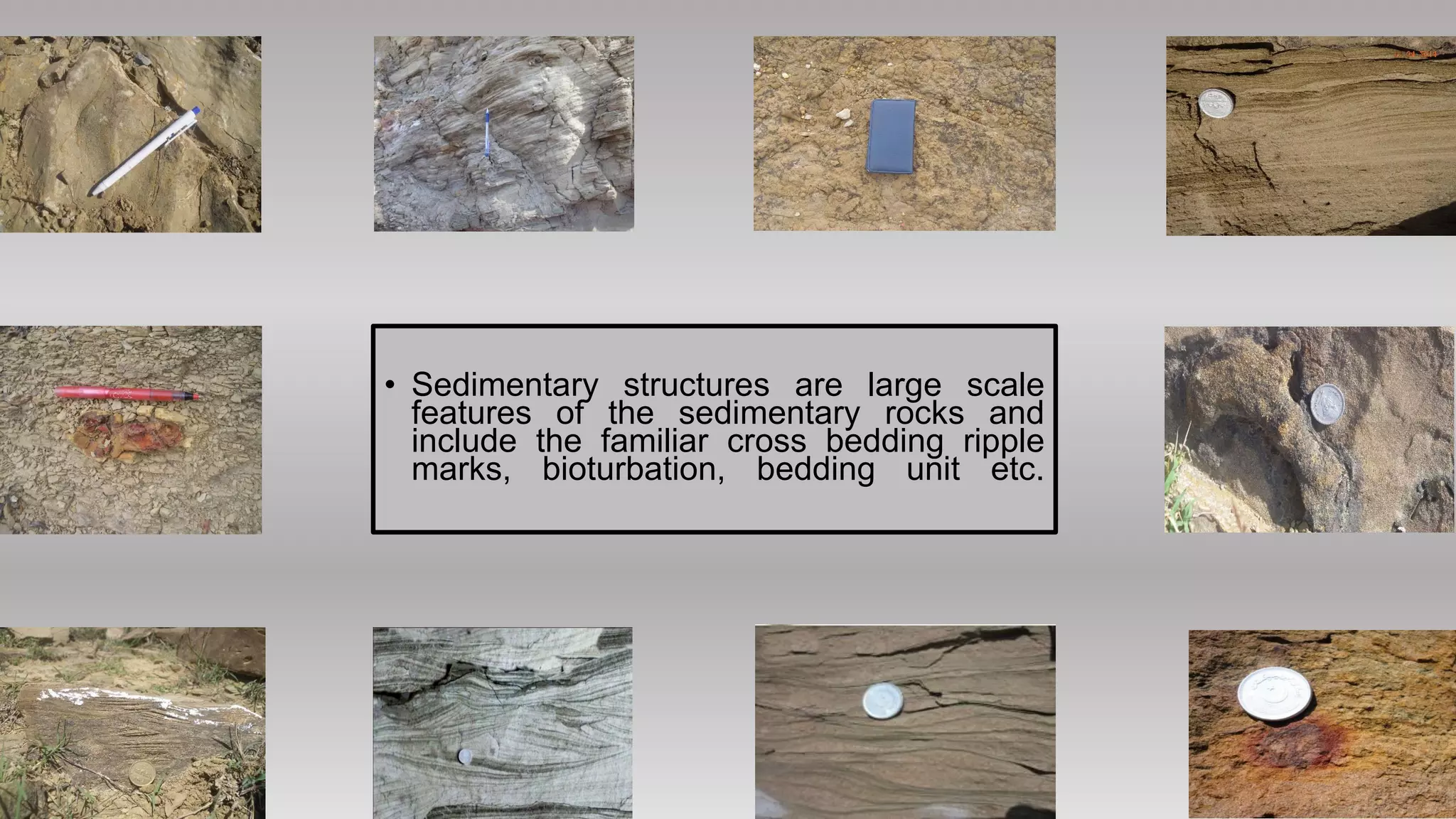 Sedimentary structures Present in Permian and Eocene Rocks of Pakistan ...