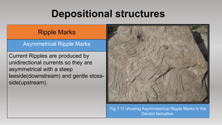 Sedimentary structures Present in Permian and Eocene Rocks of Pakistan ...