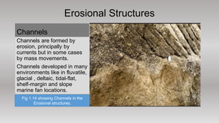 Sedimentary structures Present in Permian and Eocene Rocks of Pakistan ...