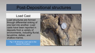 Sedimentary structures Present in Permian and Eocene Rocks of Pakistan ...