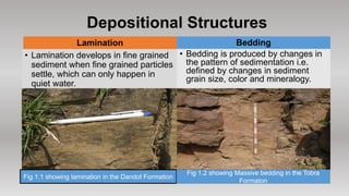 Sedimentary structures Present in Permian and Eocene Rocks of Pakistan ...