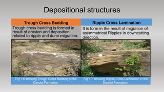 Sedimentary structures Present in Permian and Eocene Rocks of Pakistan ...