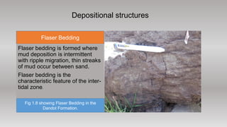 Sedimentary structures Present in Permian and Eocene Rocks of Pakistan ...