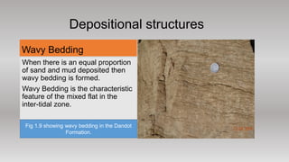 Sedimentary structures Present in Permian and Eocene Rocks of Pakistan ...