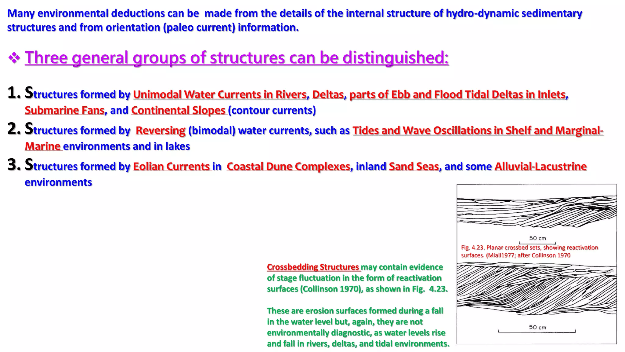 sedimentary structures.pptx
