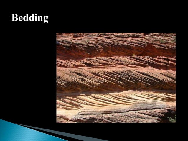 Sedimentary structures and mineralogy | PPTX | Geology | Science