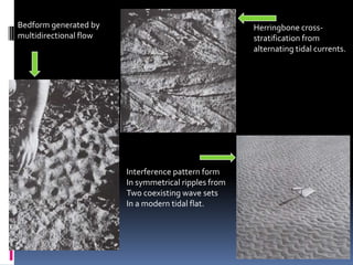 Sedimentary structures group presentation | PPTX