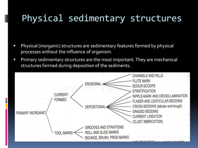 Sedimentary structures group presentation | PPTX