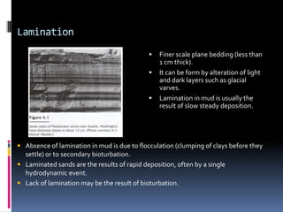 Sedimentary structures group presentation | PPTX
