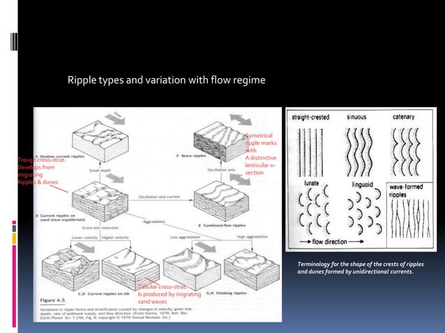 Sedimentary structures group presentation | PPTX