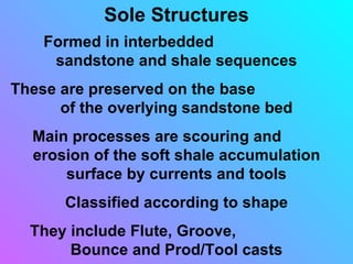 Sedimentary structures smallas | PPT