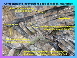 Sedimentary structures smallas | PPT